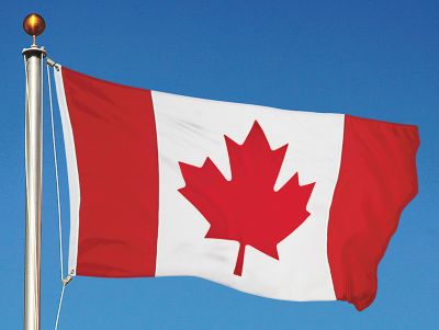 Canadian Flags in Stock - ULINE.ca