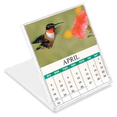 Calendar Jewel Cases in Stock - ULINE.ca