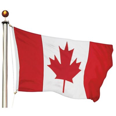Flags and Flagpole in Stock - ULINE.ca